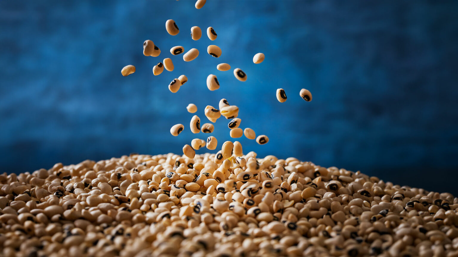 Products - Nutland